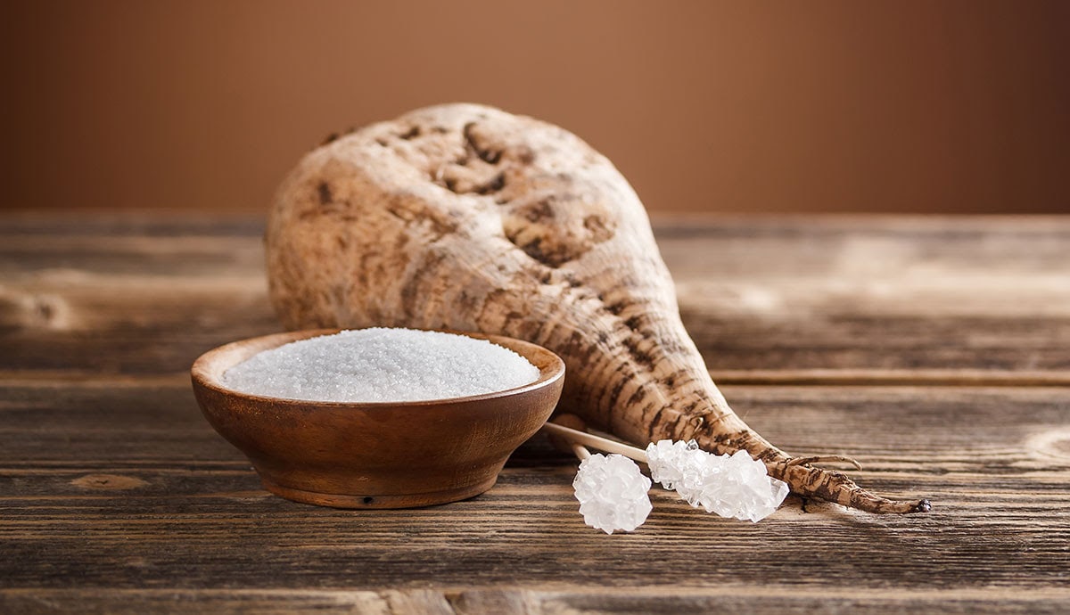 Behöver hästar verkligen socker - Blogg - Hogsta Ridsport & Foder